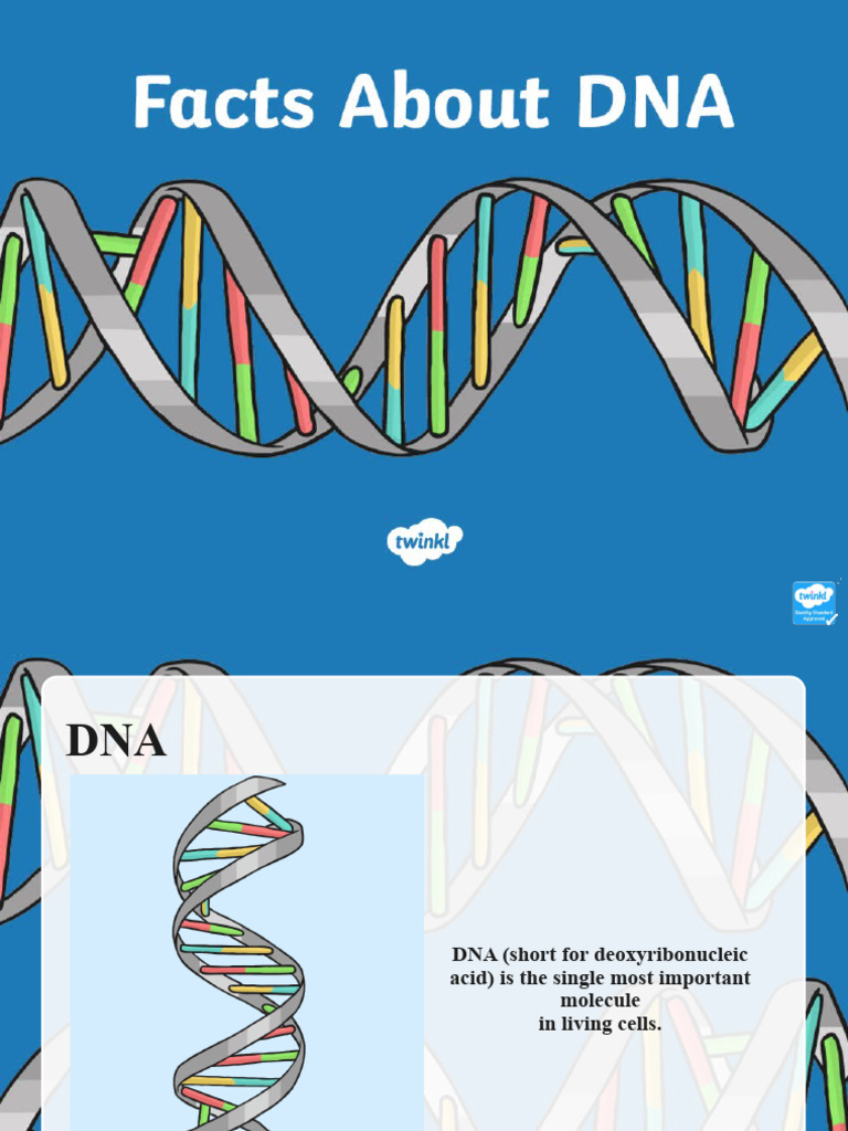 Understanding DNA: Structure and Facts | PDF | Dna | James Watson