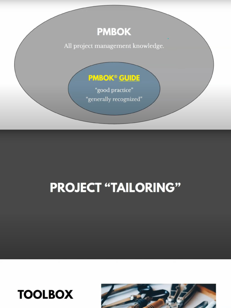 Project Management Chap 01 | PDF