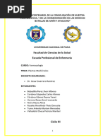 Informe_100_Plantas_Medicinales_Selva_Peruana | PDF