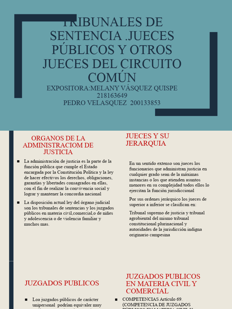 Documento de Edwin Roldan Espinoza | PDF | Juez | Judicaturas