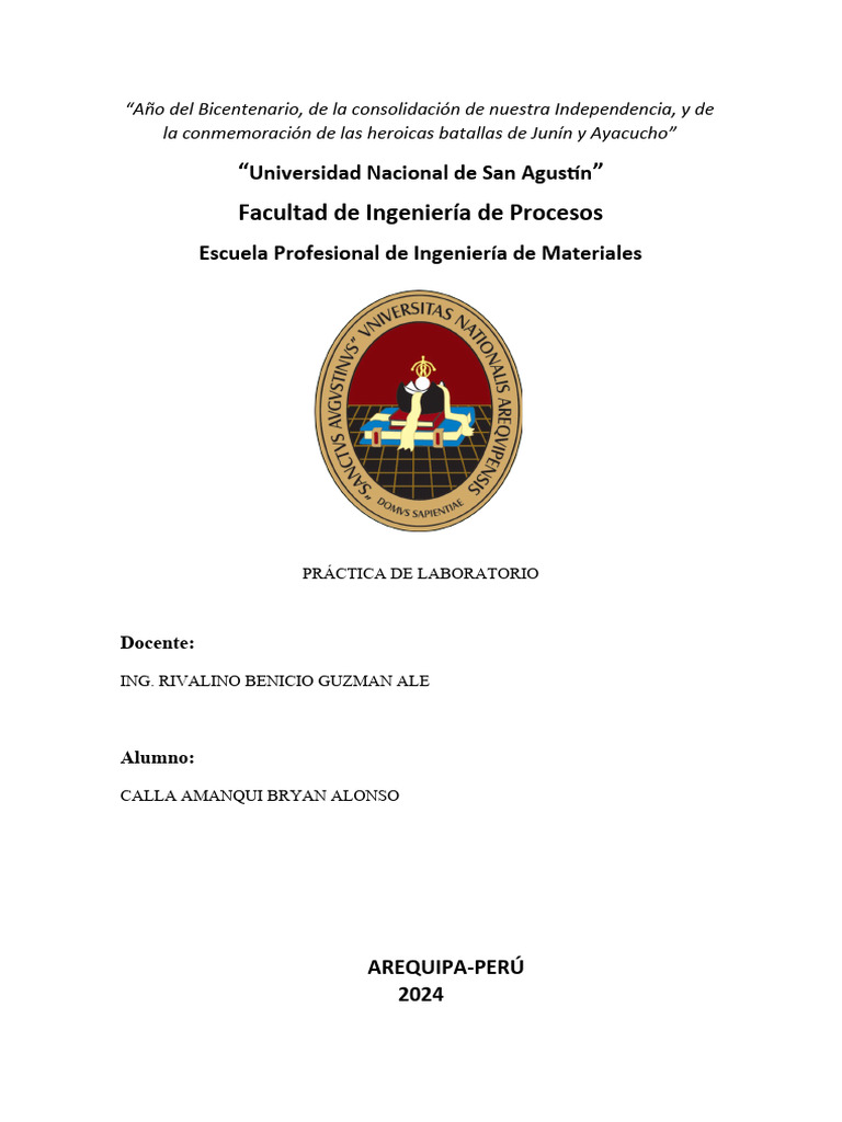 Practica Bryan Ceramicos | PDF | Materiales | Sustancias químicas