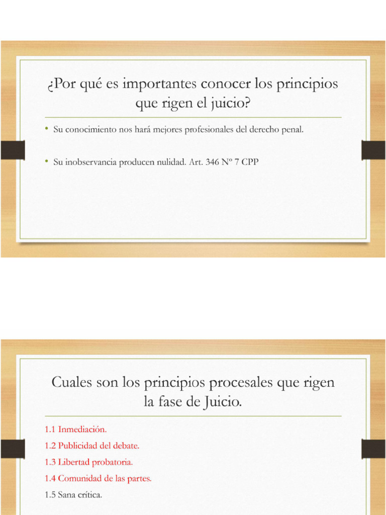 Principio de Inmediacion | PDF