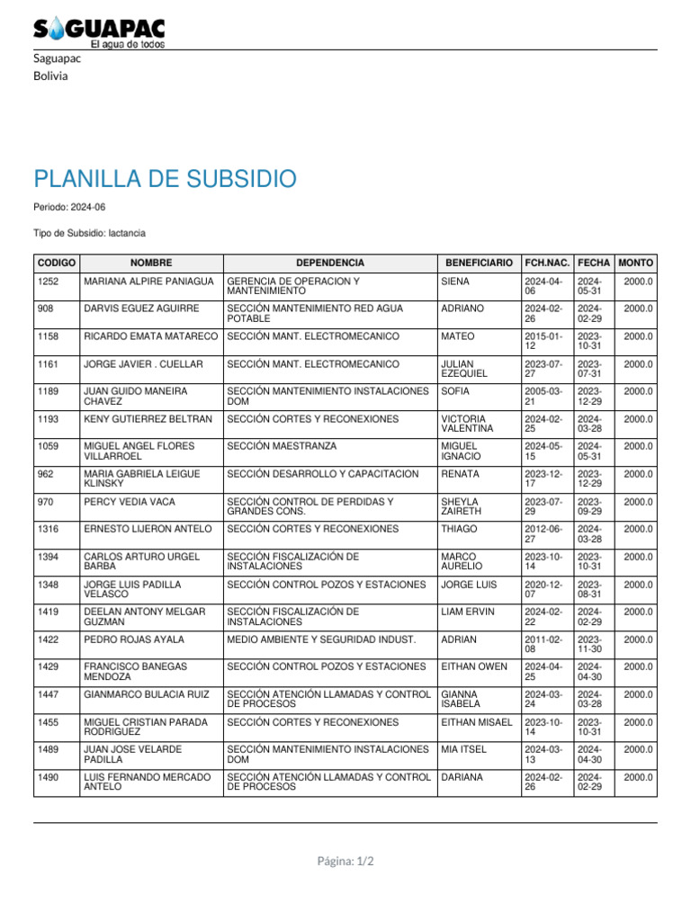 Reporte Planilla Subsidios | PDF