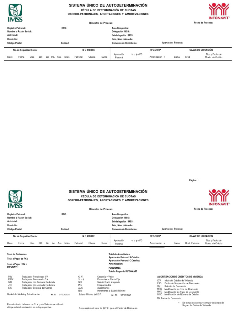 Cedula de Determinación de Cuotas Aportaciones y Amortizaciones | PDF | Compensación laboral | Labor
