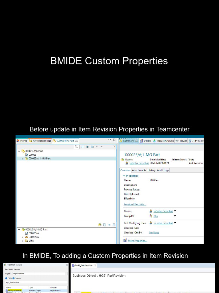 BMIDE_custom_properties | PDF