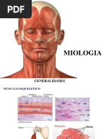 Músculos Do Crânio | PDF | Morfologia (Biologia) | Rosto