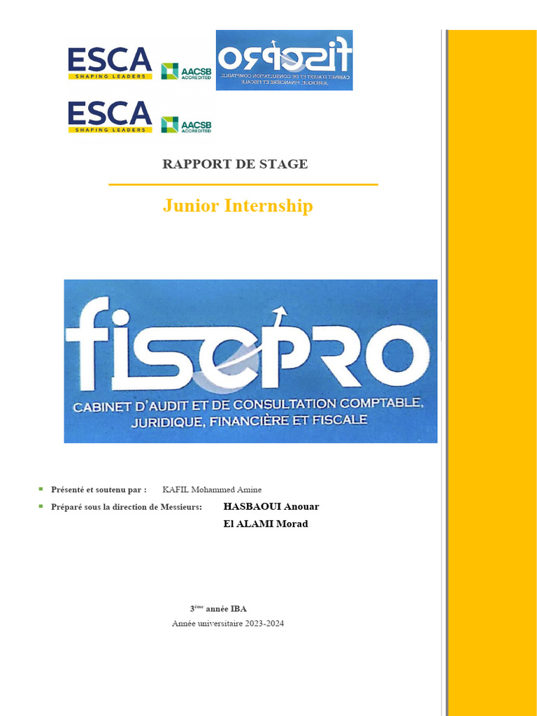 Rapport de stage 2024 | PDF | Expense | Taxes