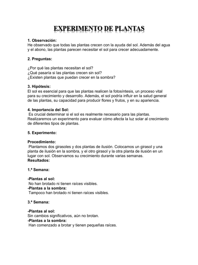 Experimento de Plantas de Miguel | PDF | Plantas | Hoja