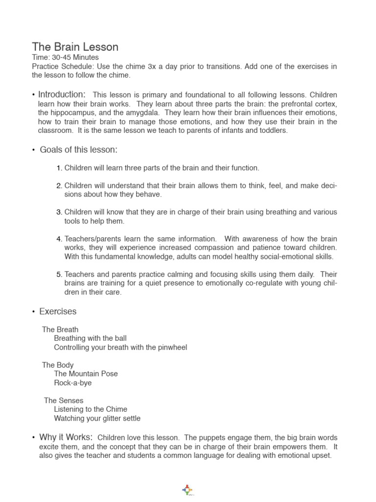 Brain Lesson | PDF | Memory | Brain