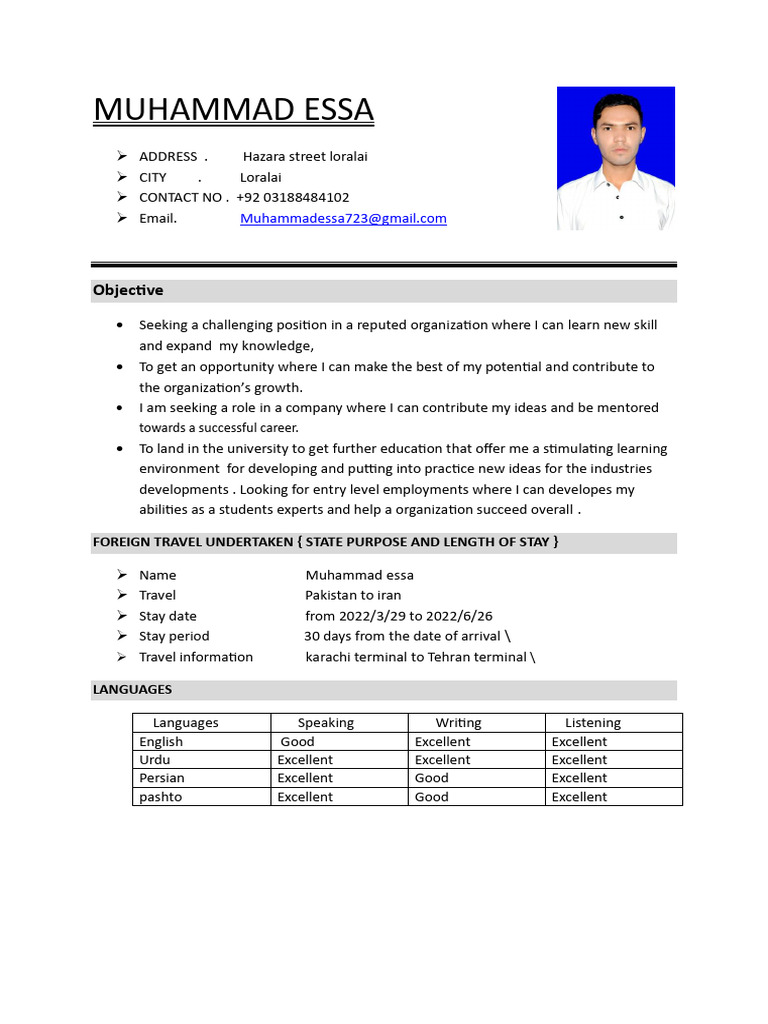 Muhammad Essa CV | PDF | Pakistan