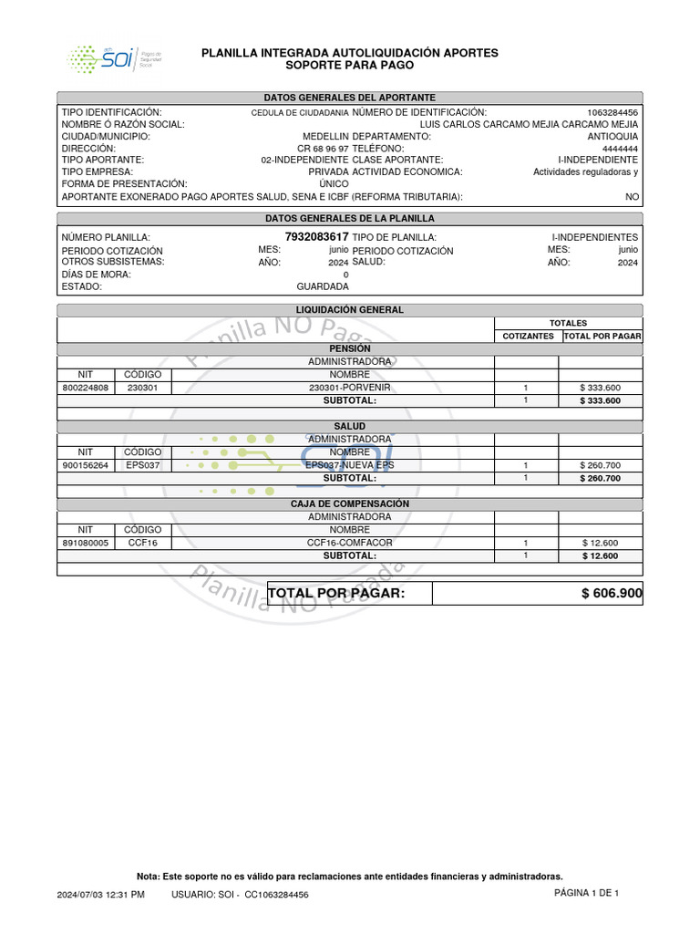 Soporte Previo | PDF