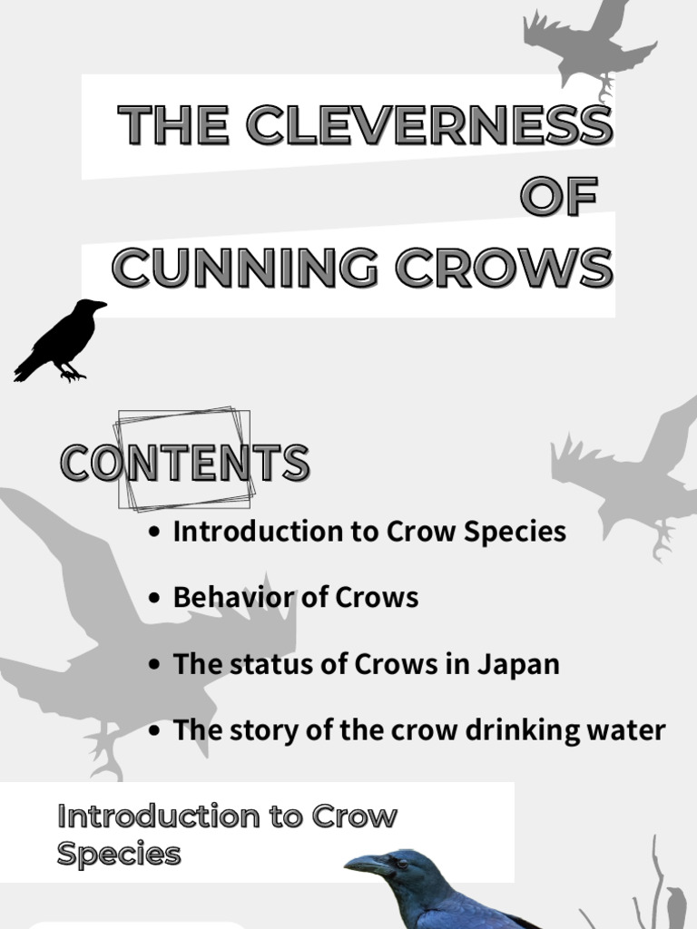 The Cleverness of Cunning Crows | PDF