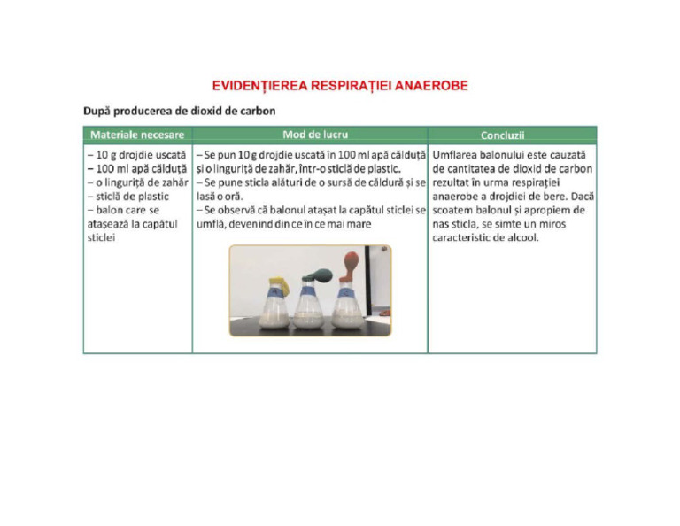 experiment fermentatie | PDF