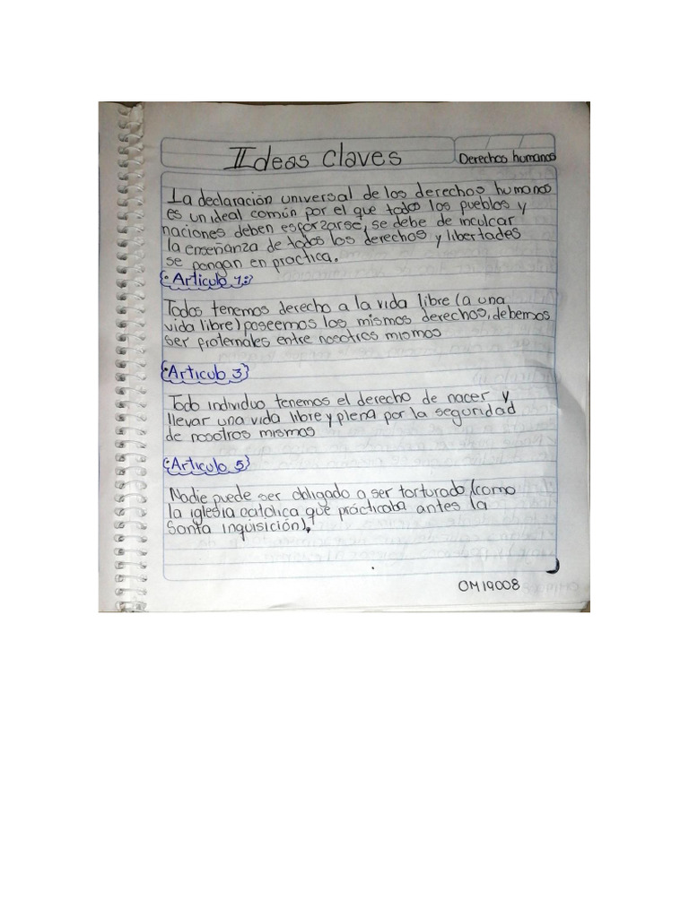 Artículos DDH | PDF