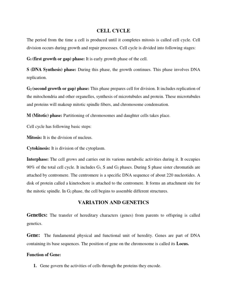 Cell Cycle Pdf Mitosis Sex