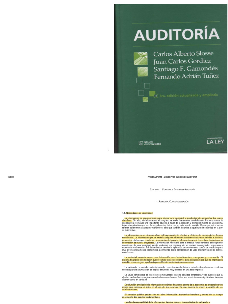 Libro Slosse - Auditoria | PDF | Auditoría | normas internacionales de INFORMACION FINANCIERA