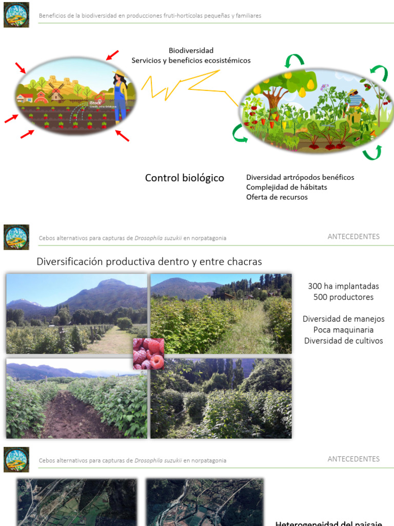 Taller Biodiv | PDF | Biodiversidad | Ciencias de la Tierra