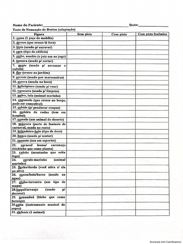 BOSTON NAMING TEST - Registro | PDF