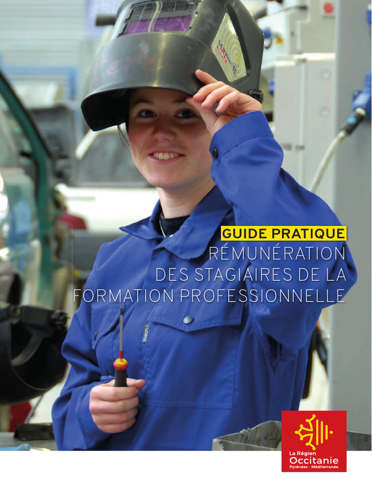 Guide Pratique Du Stagiaire 2018 | PDF | Salaires | Emploi
