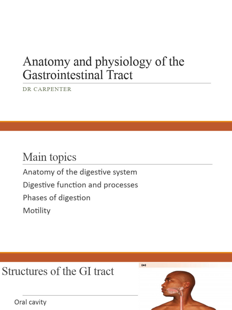 BS4106 Gastrointestinal Tract Physiology | PDF | Stomach | Esophagus