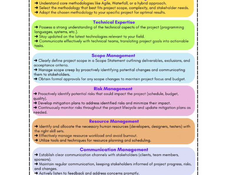Technical Project Manager | PDF