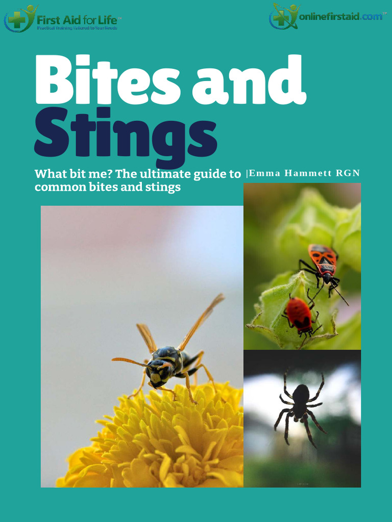Guide to Common Bites and Stings | PDF | Lyme Disease | Mosquito