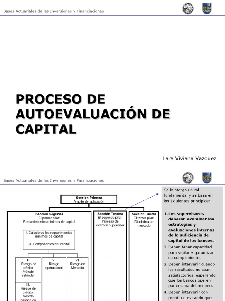 Proceso de Autoevaluación de Capital (Stress Test) | PDF ...
