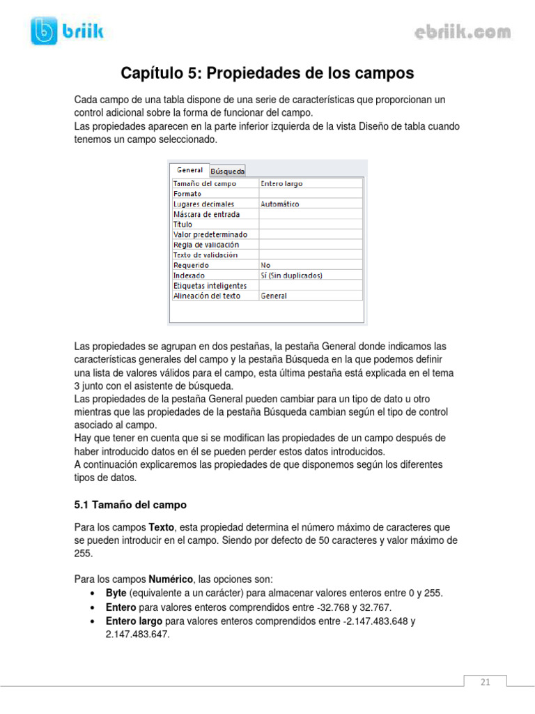 ACCESS Propiedades de Los Campos | PDF | Tipo de datos | Entero