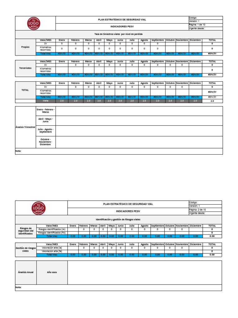 Formato Indicadores Pesv | PDF