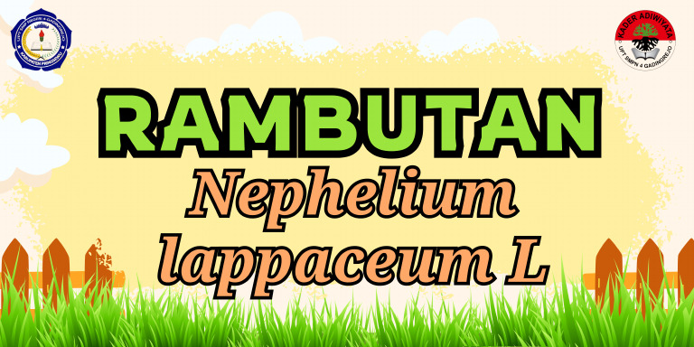 RAMBUTAN | PDF