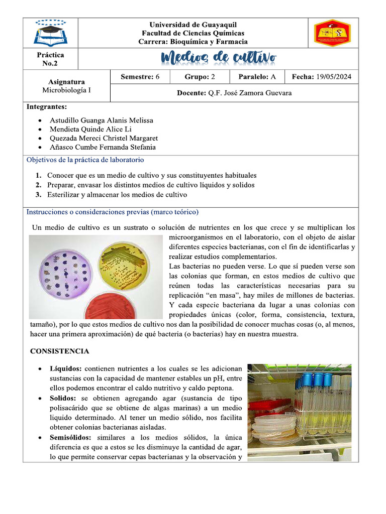 Informe 2 Microbiologia | PDF | Technology & Engineering