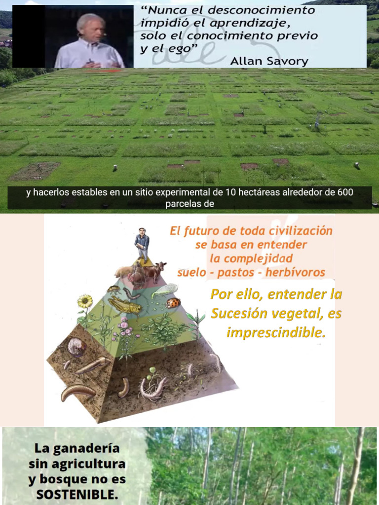 03 Sucesión Vegetal Agrostología | PDF | Pasto | Ecosistema