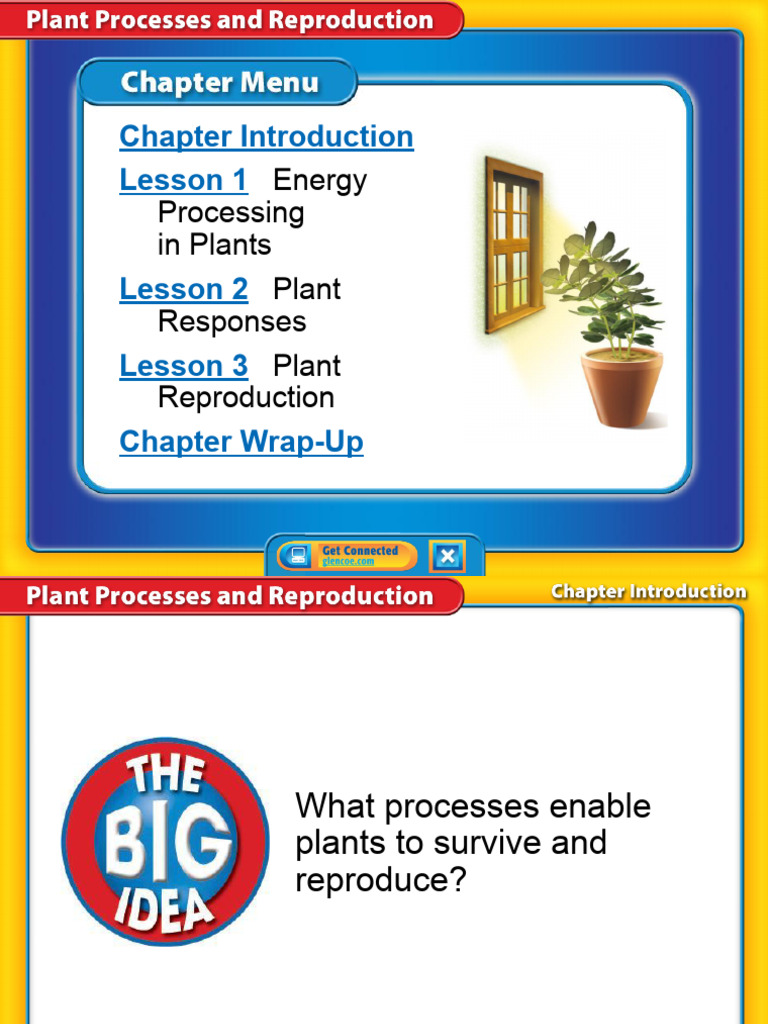 Grade 7 Chapter 8 | PDF | Sexual Reproduction | Reproduction
