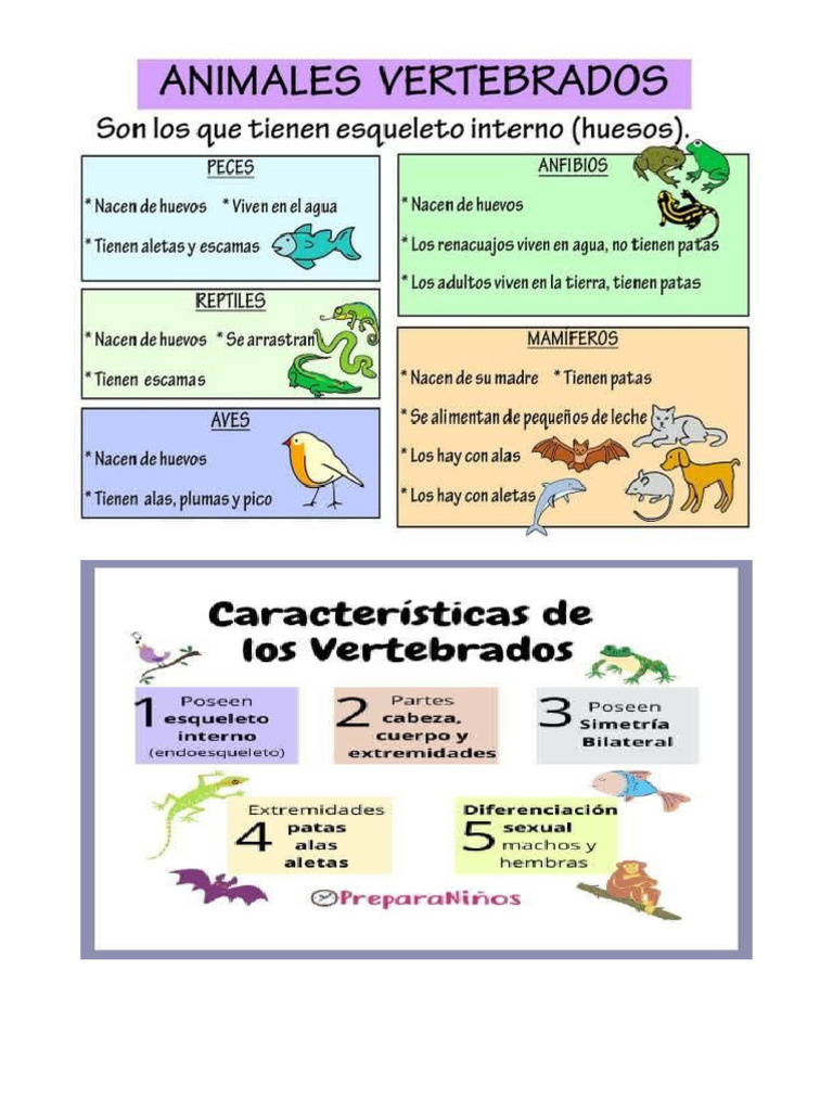 Los Vertebrados | PDF