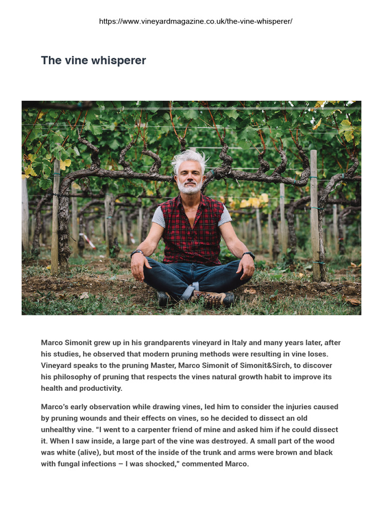 Mastering Vine Pruning Techniques | PDF | Viticulture | Vineyard