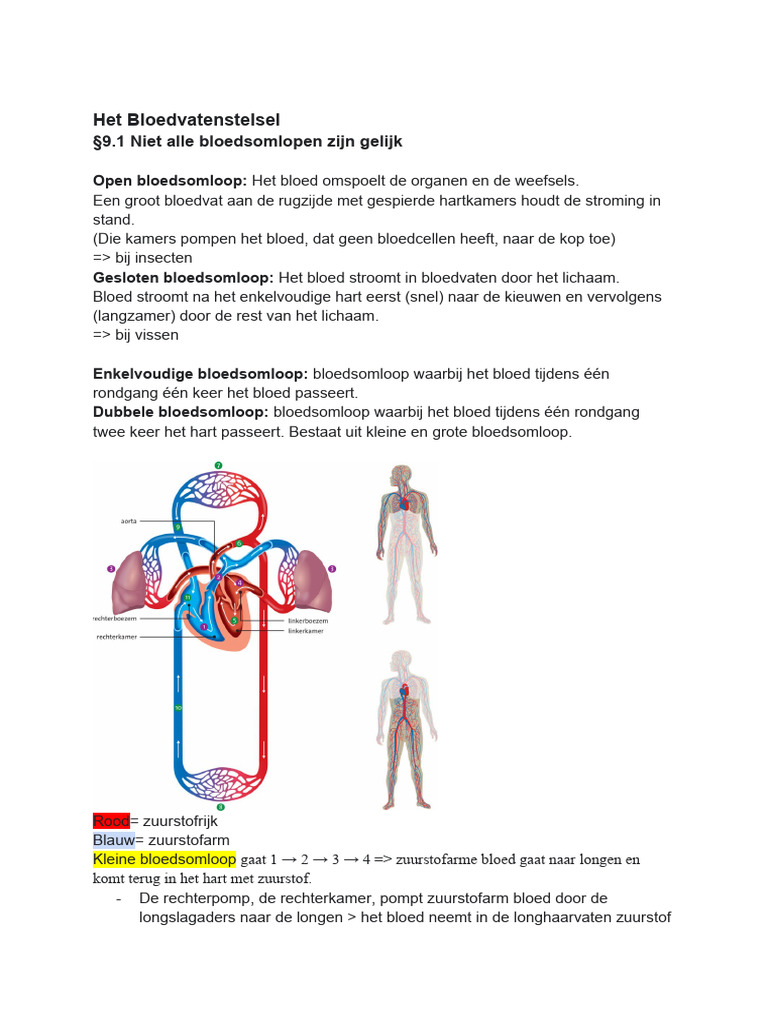 BIO Hart en Vertering | PDF