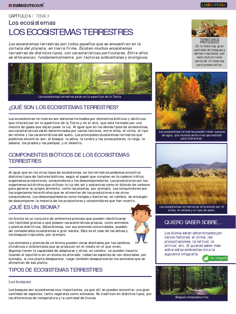 Los Ecosistemas Terrestres | PDF | Suelo | Ecosistema