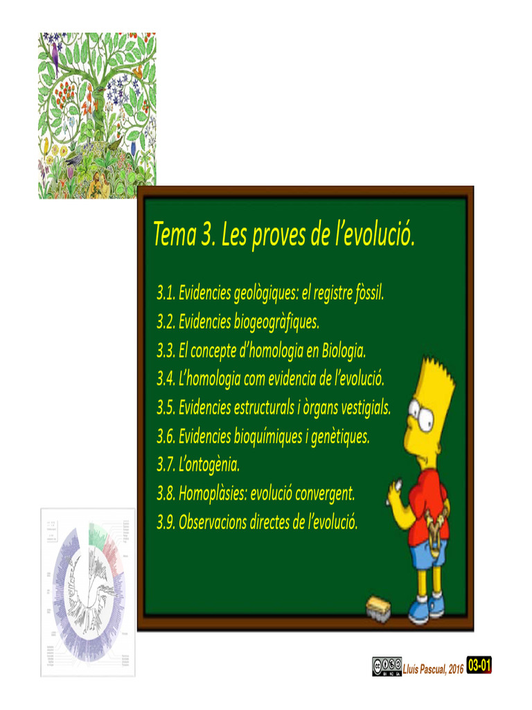 01 - Presentacio - Tema - 3 - Primera Part | PDF