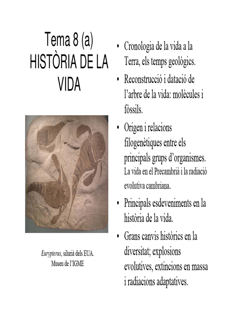 Tema 8 (A) MGR | PDF