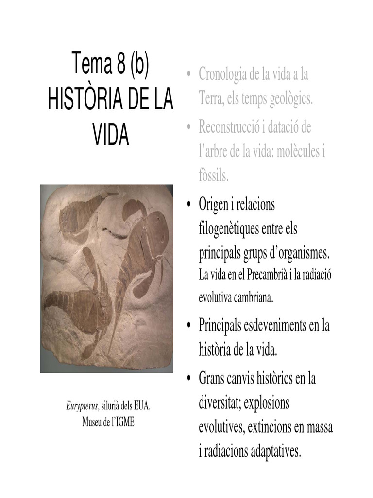 Tema 8 (B) MGR | PDF