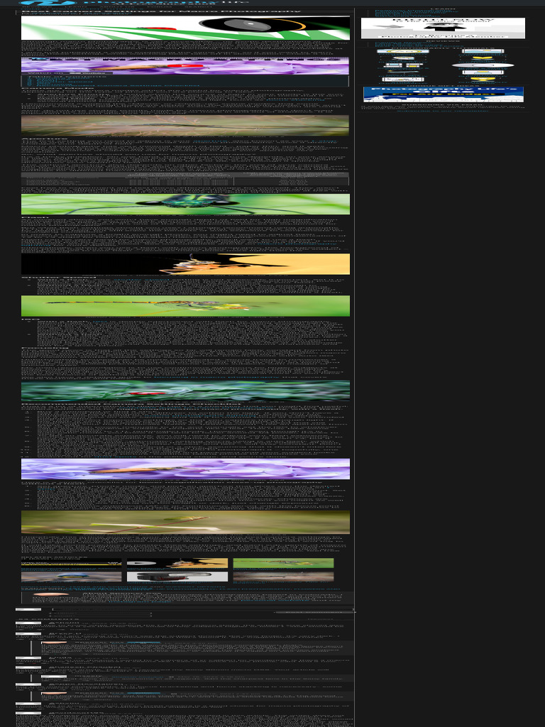 Best Camera Settings for Macro Photography | PDF | Macro Photography ...