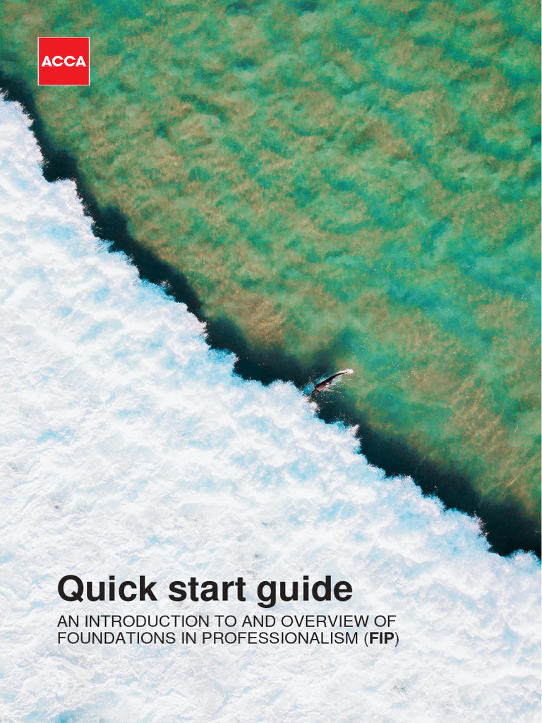 Foundations in Professionalism Guide | PDF | Computing | Software