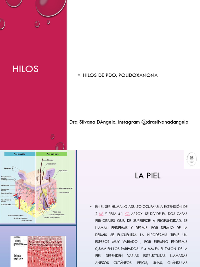 hilos | PDF | Piel | Biología