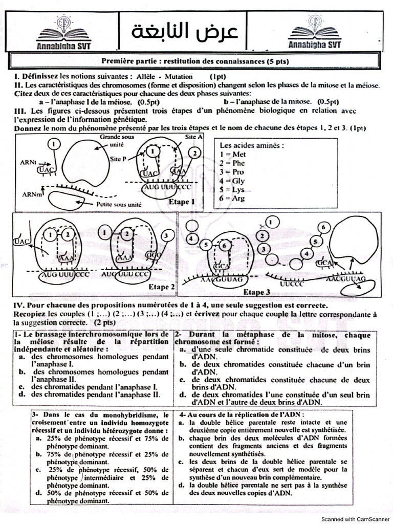 Correction Exercice 6 Génétique | PDF