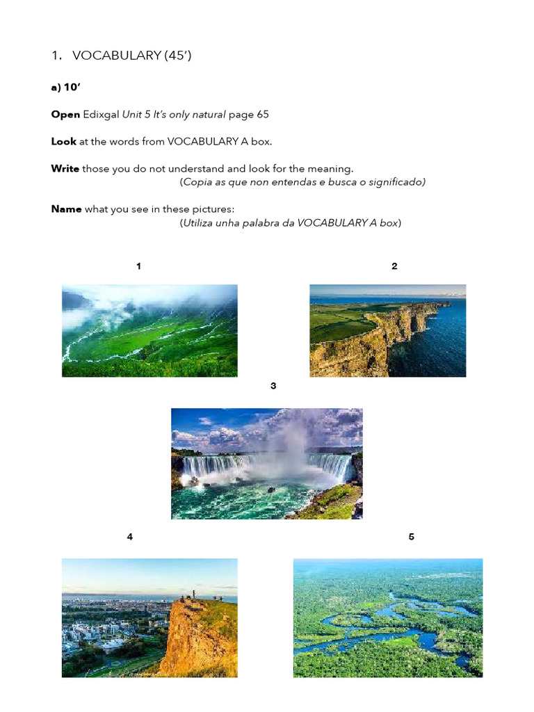 Week 3 Vocabulary | PDF