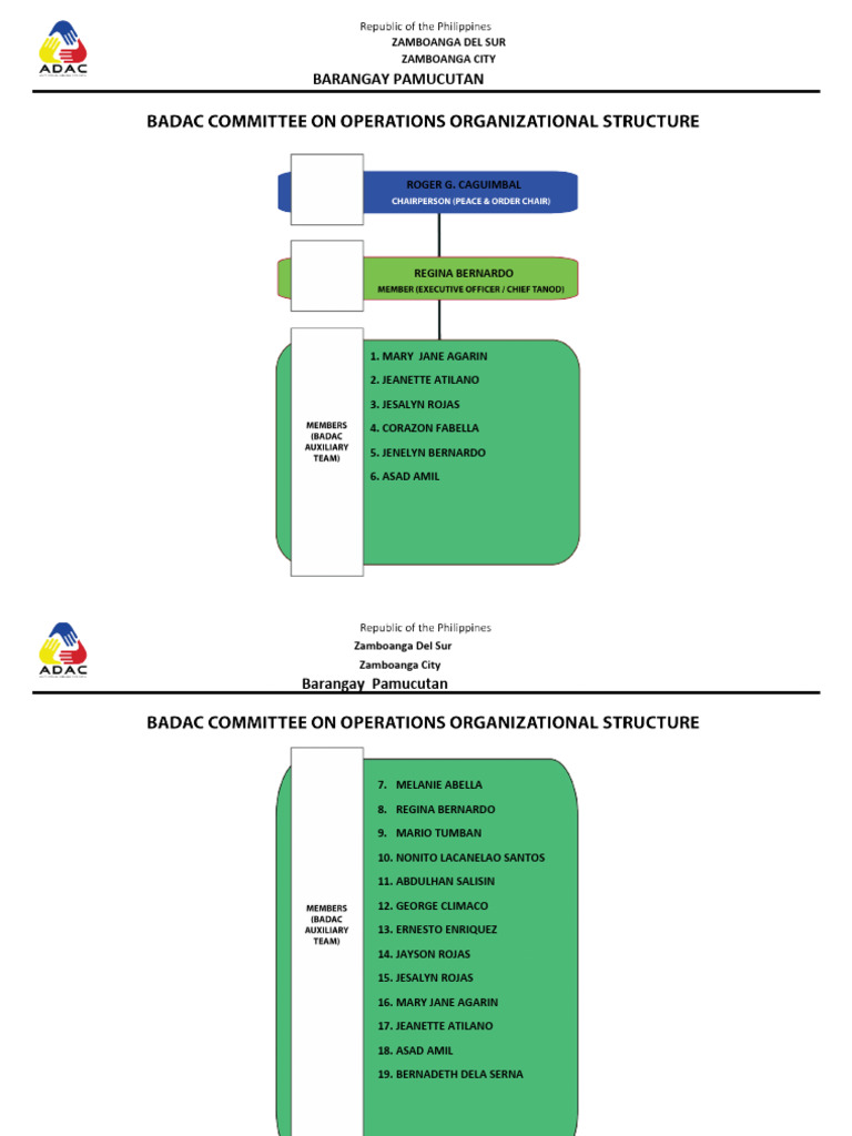 BADAC TEMPLATE - Committee On Operations Organizational Structure | PDF