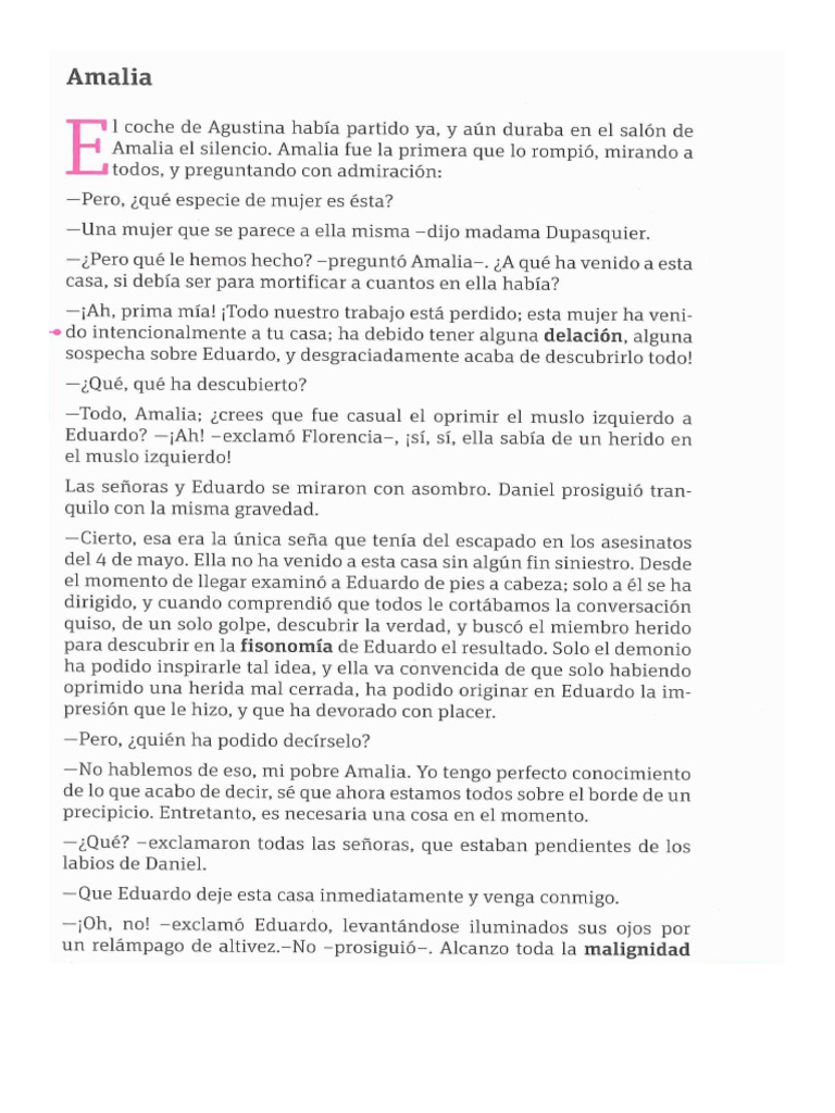 Taller de Lectura Critica Noveno AMALIA | PDF