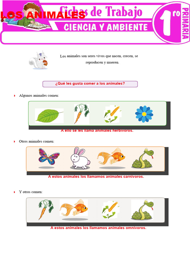 Guía Básica de Animales para Niños | PDF | Zoología