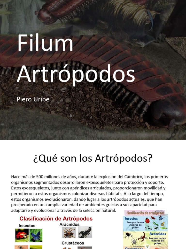 Características de los Artrópodos | PDF | Sistema reproductivo | Biología