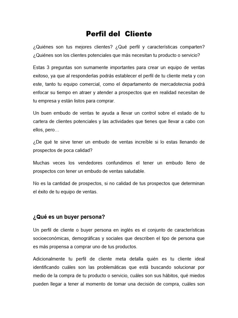 Perfil Del Cliente | PDF | Cliente | Business